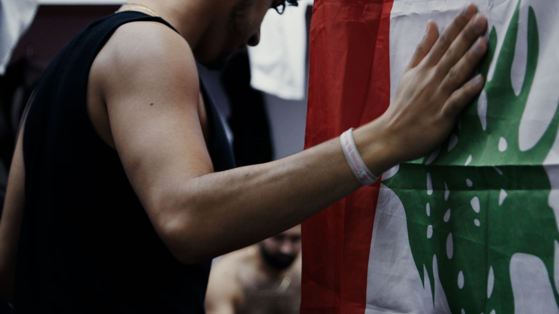 Les cèdres du Liban - Avanti Groupe