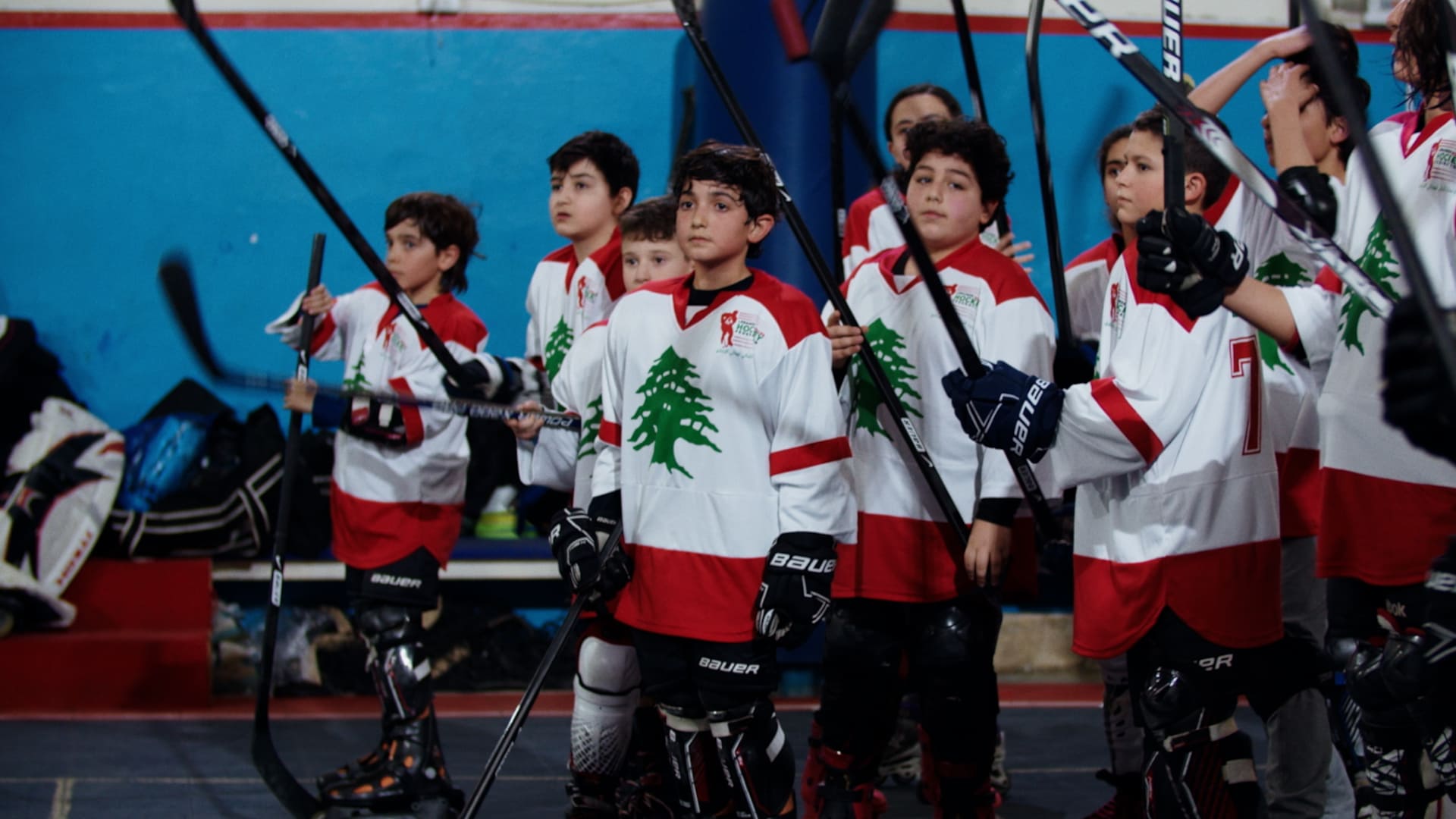The Cedar Trees of Lebanon (Les cèdres du Liban) - Avanti Groupe