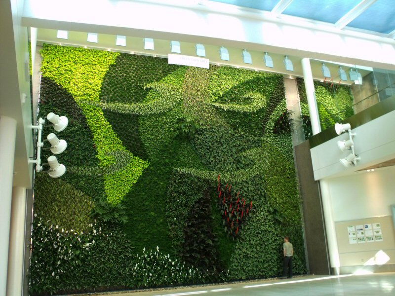 Massive bio wall unveiled at Edmonton International Airport