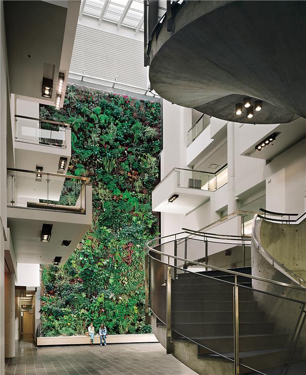 A decade of living walls