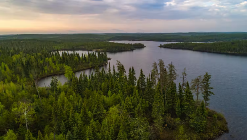 Global warming is changing Canada’s boreal forest and tundra - Building