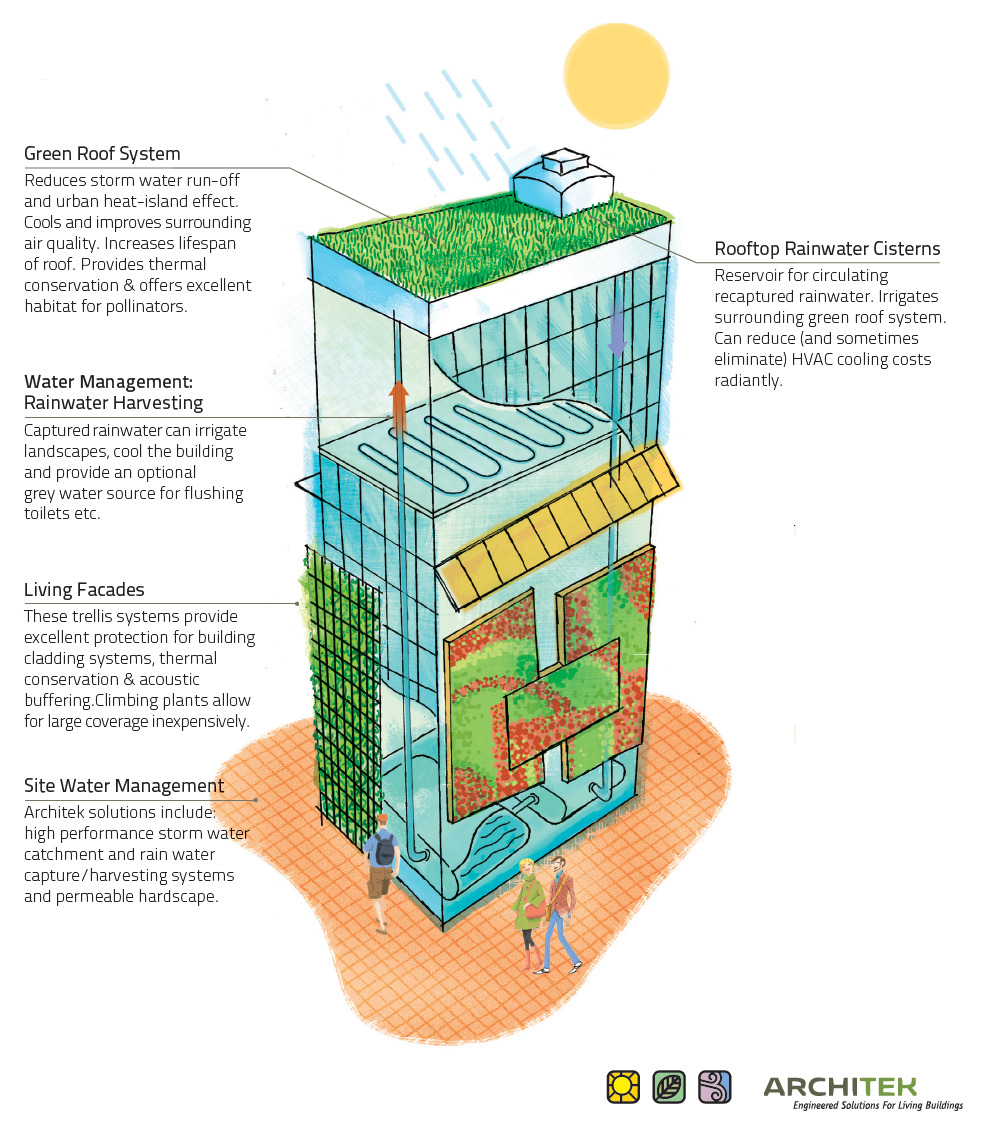 Changing the Nature of Storm Water Management - Canadian Architect