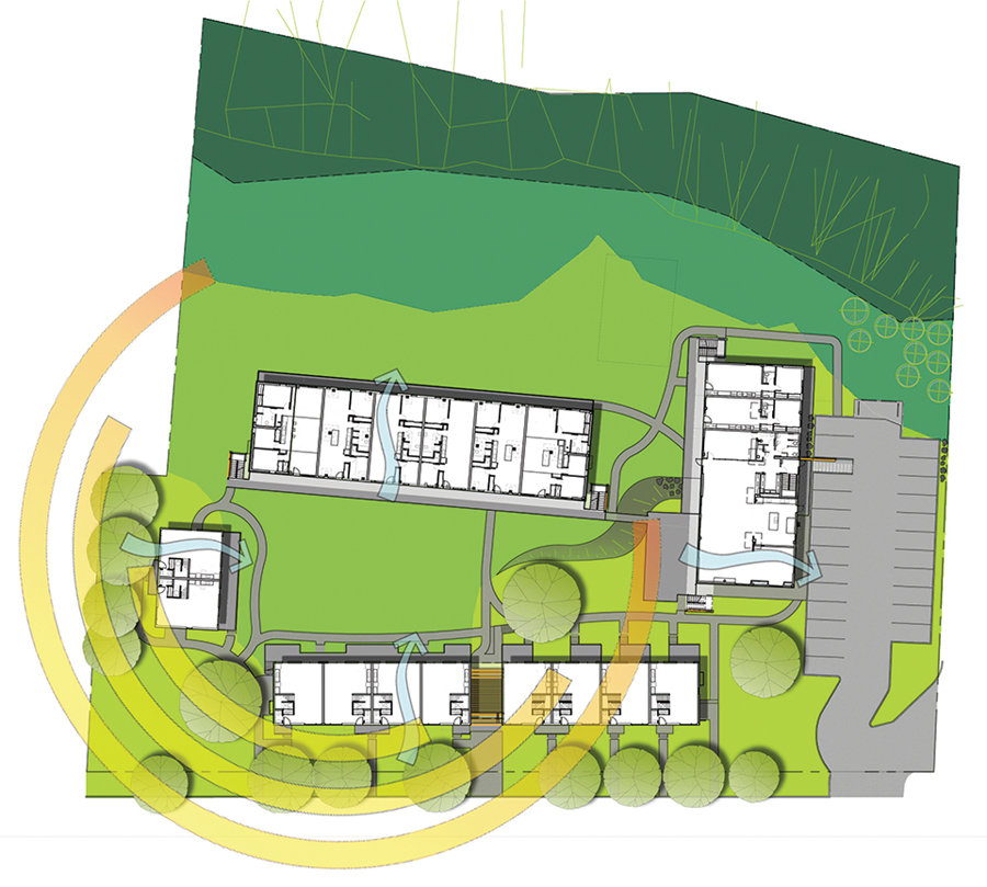 The Cohousing Option