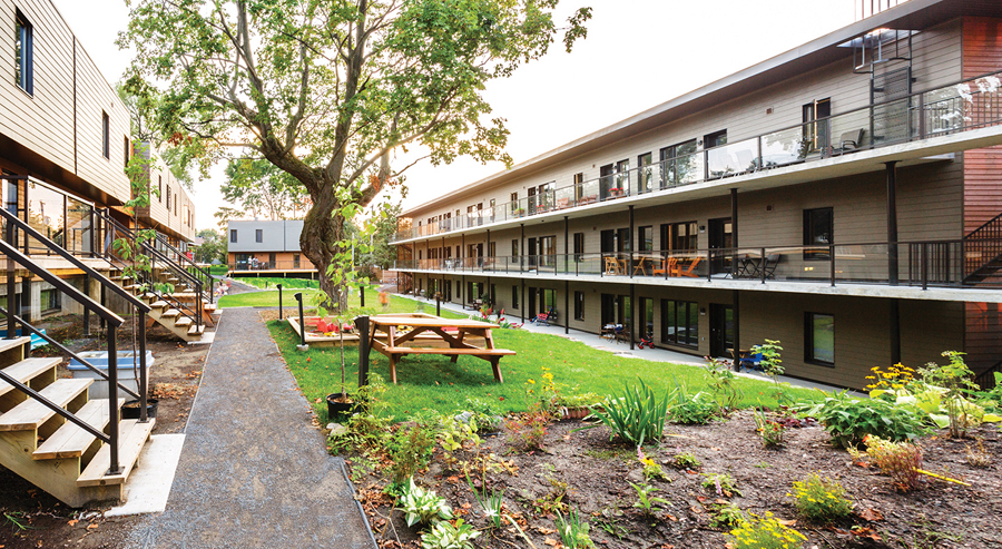 The Cohousing Option